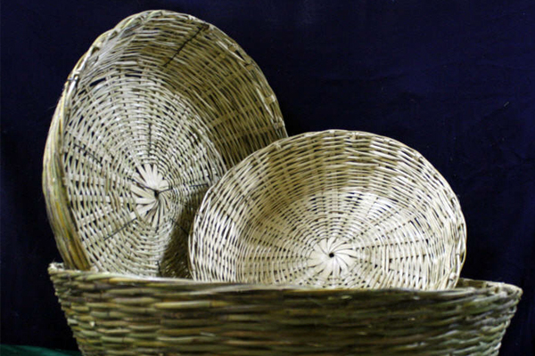 ConviccionEs & Mexicanidades: Entre jimar y tejer el otate