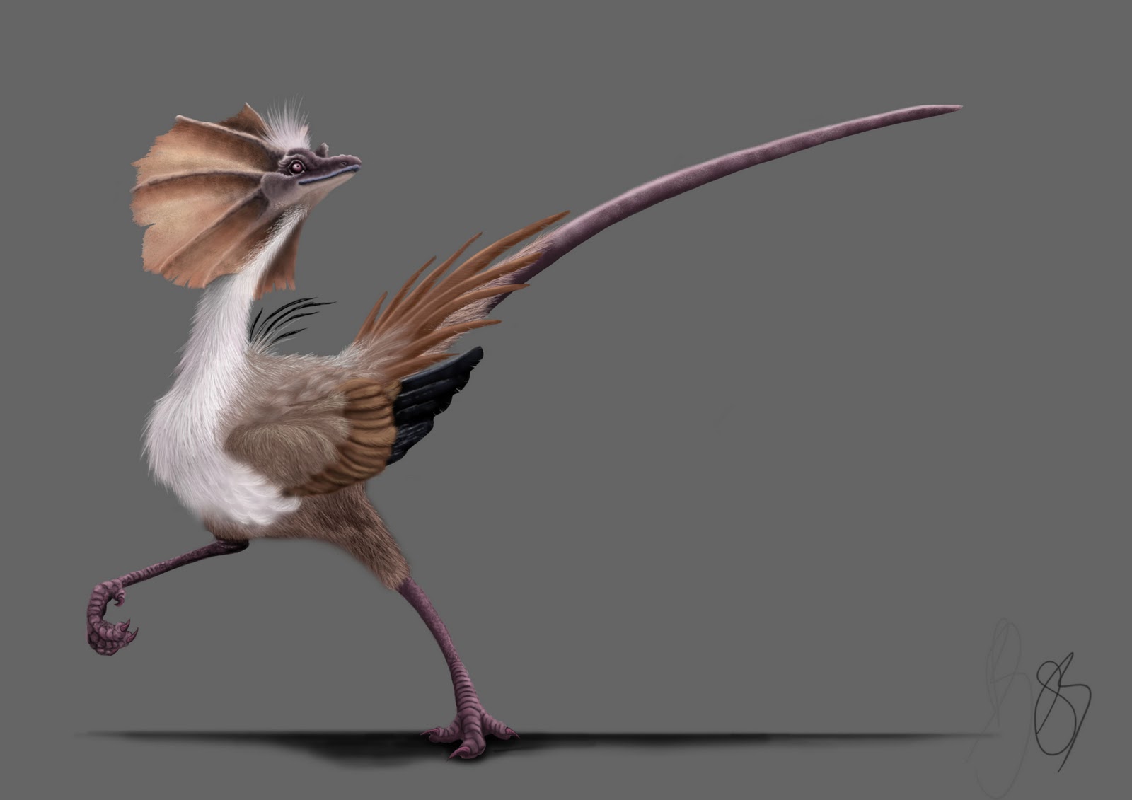 Steph's Creature Gallery: The Creature Gallery