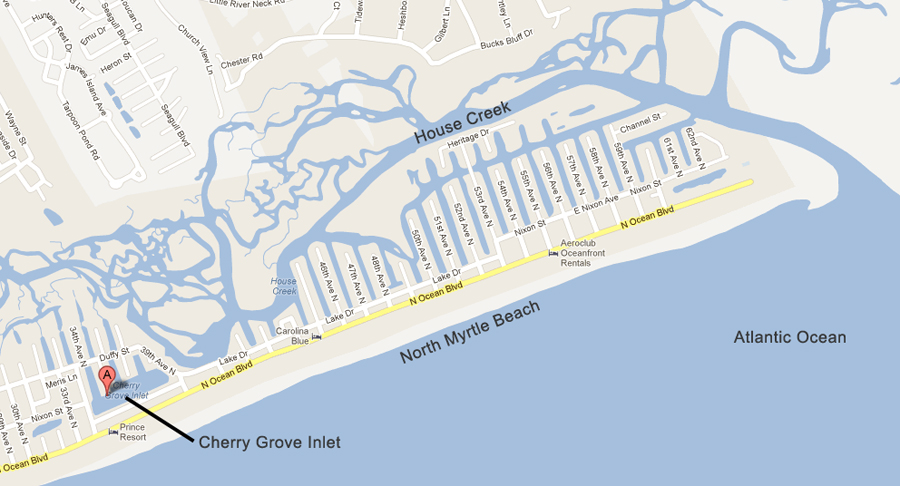 South Carolina Bull Shark: video captures surprise visitor in local ...