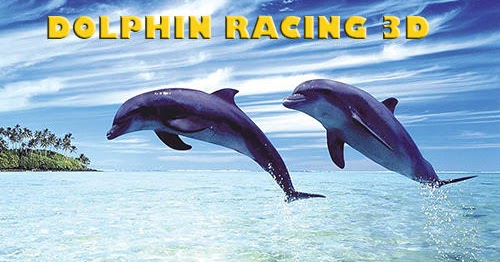Dolphin racing 3D