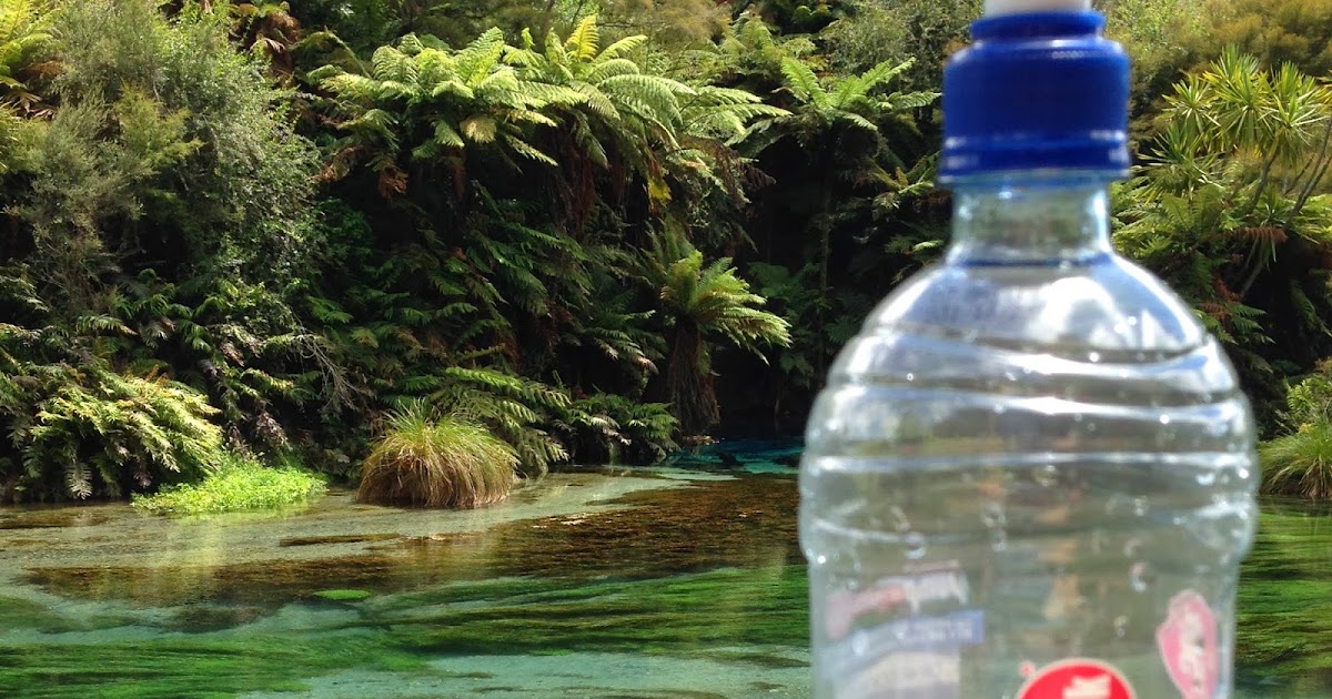 Walk to the Blue Spring: one of NZ's best kept secrets | the adventures ...