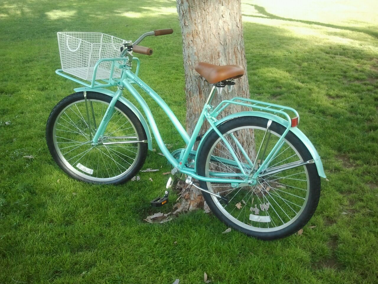 Quilting Blog - Cactus Needle Quilts, Fabric and More: Aqua Cruiser Bike