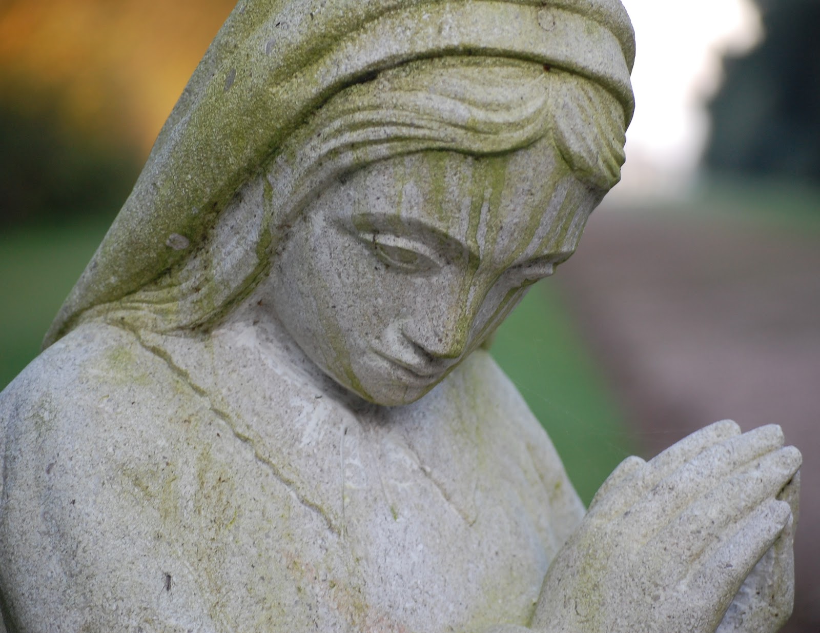 Christopher Burkett's Blog