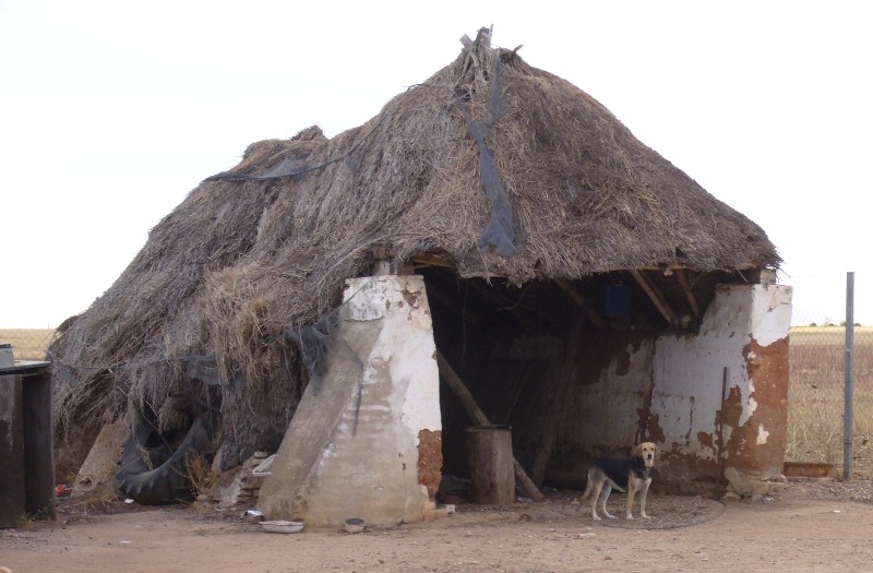 Chozas de Córdoba.: Chozas de Godoy (Palma del Río)