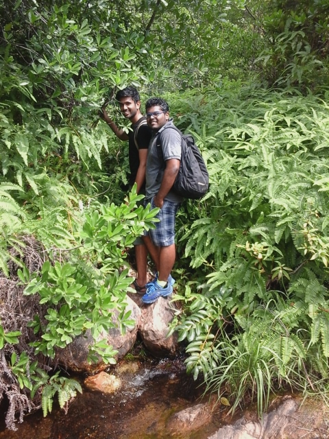 Tada Falls: Ultimate Trekking Destination | Tamil Nadu | Know Your ...