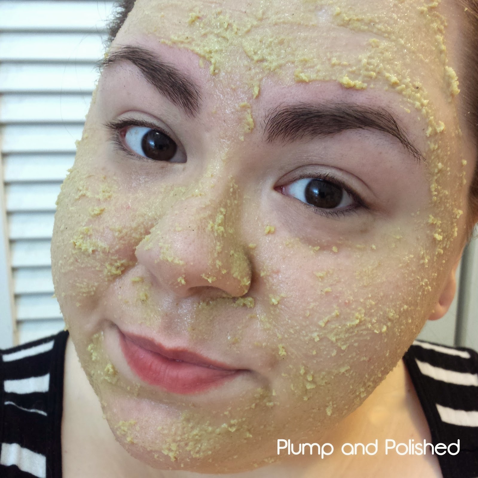 Plump and Polished: Lush Cosmetics - Oatifix Fresh Face Mask