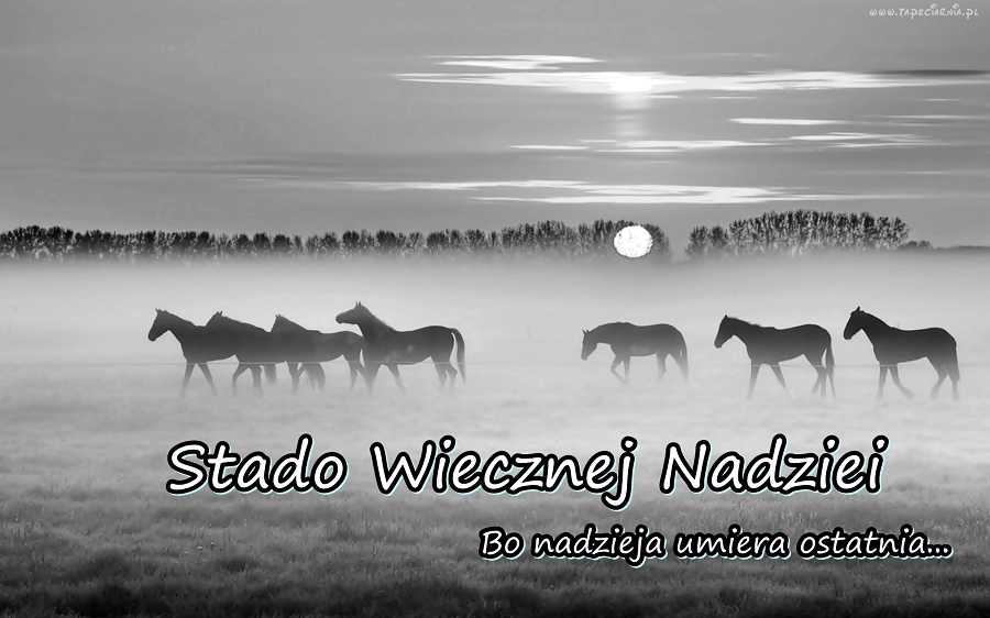 Stado Wiecznej Nadziei