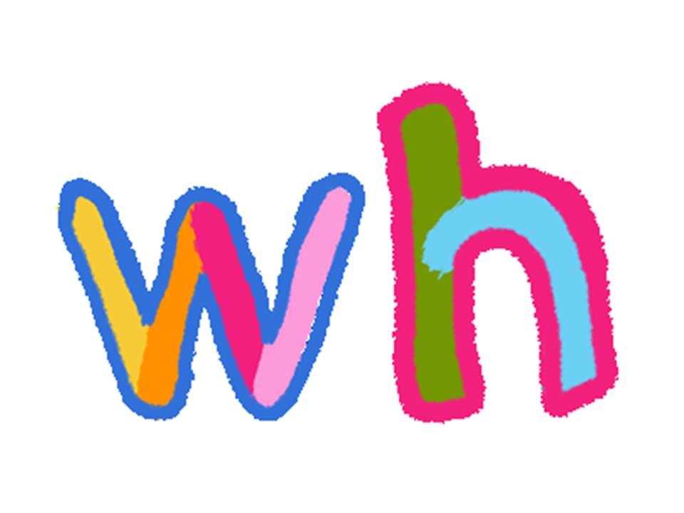 A Teacher's Touch: Last but not Least ! The Wh Shake Up Pokey