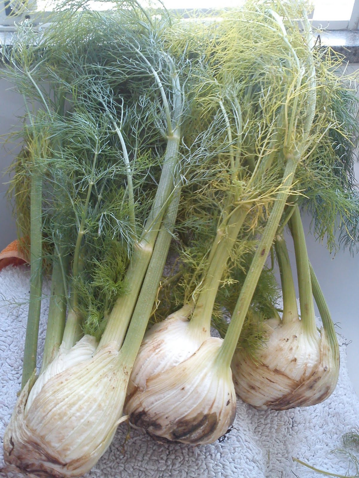 ECOS DA REDE - RECEITAS ECOLÓGICAS: FUNCHO