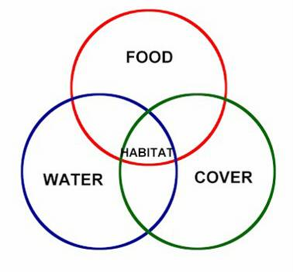 Bioteknologi: RELUNG EKOLOGI