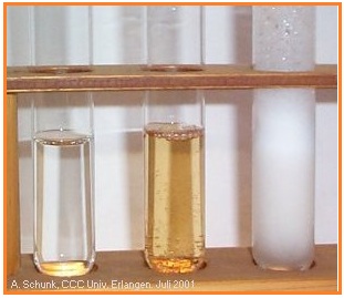 BIOLOGI GONZAGA: ENZIM KATALASE