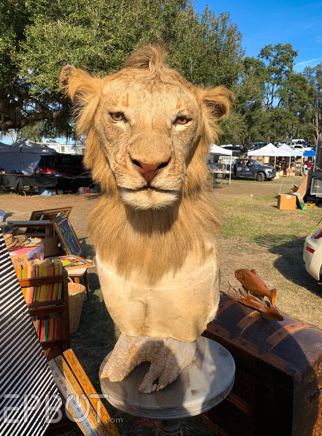 EPBOT: Freaky 'Tiques! 10 Hilariously Creepy Things You Only Find Antiquing