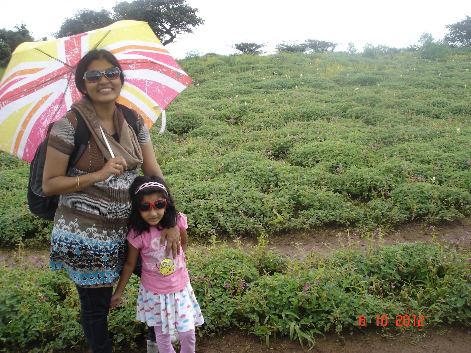 Paradise Pune: Kaas Plateau Bamnoli Sajjangadh