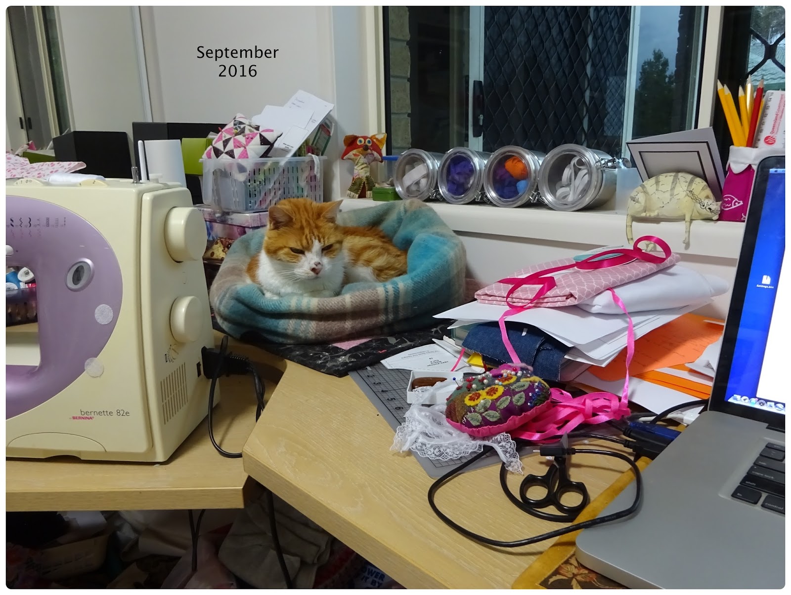 Val Spiers Sews: Stumpy the cat