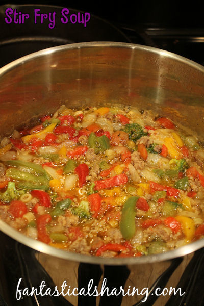 Fantastical Sharing of Recipes: Stir Fry Soup