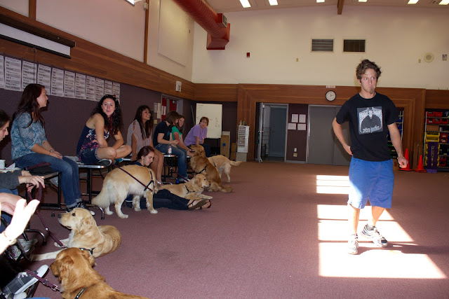 FRiSKY FiTNESS: The fit will survive...the frisky fit will thrive!: The ...