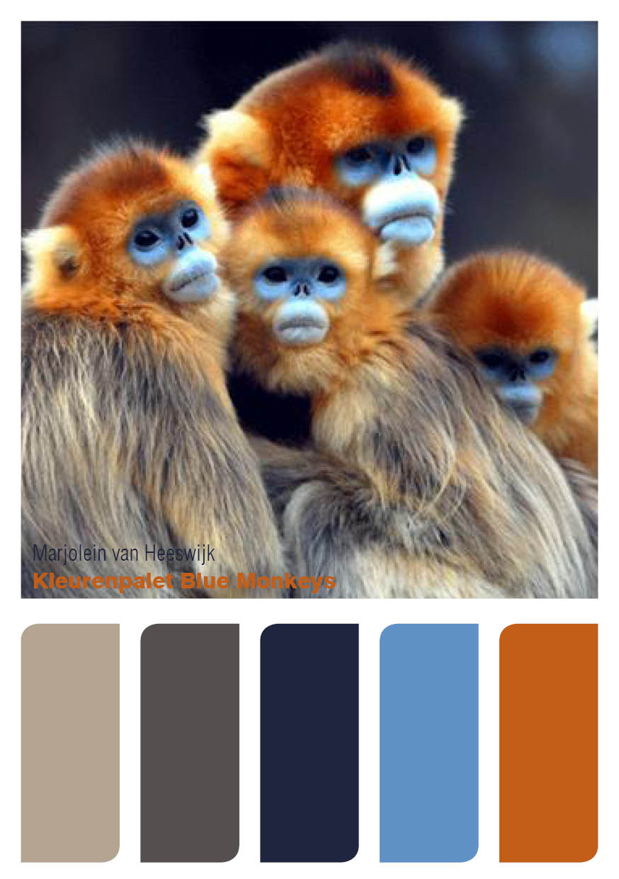MVHMSK - Kleurinspiratie: Kleurenpalet "Blue Monkeys"