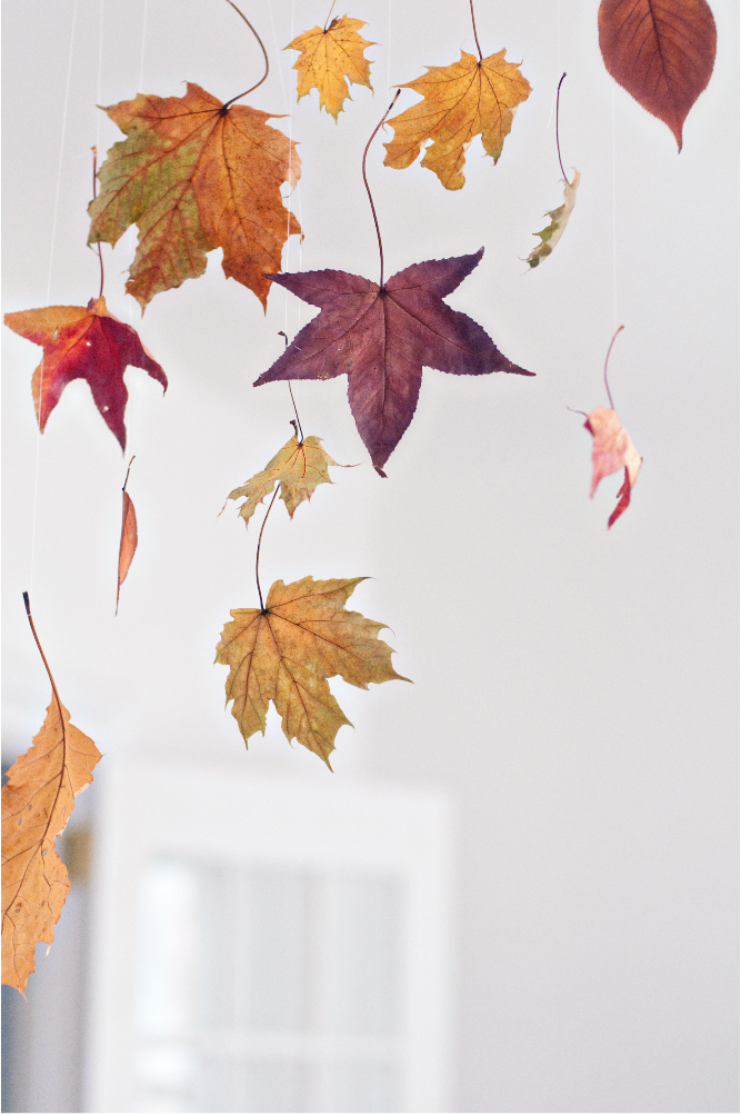 {kensington blue} mostly photography and a little bit of everything ...