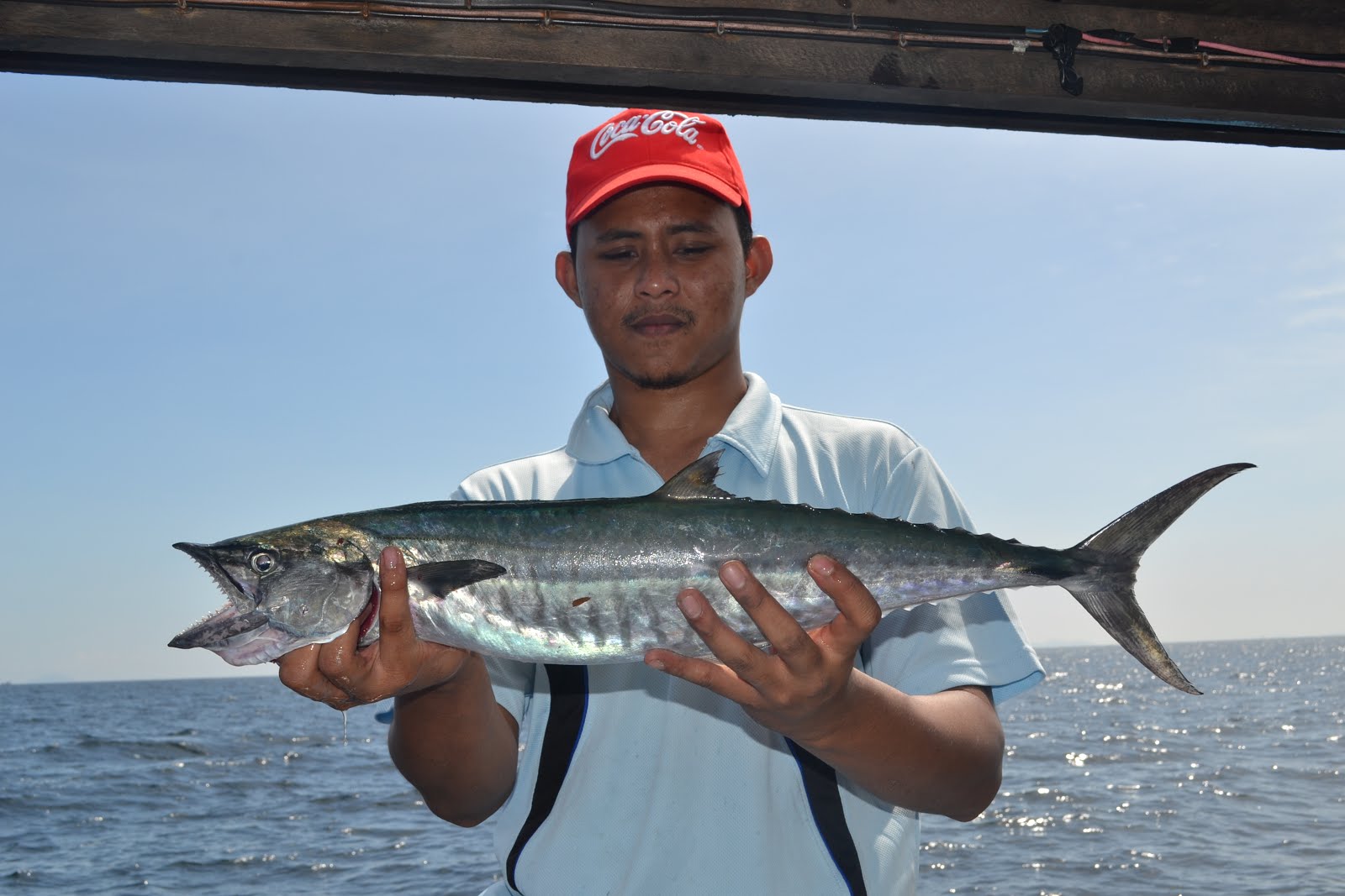 Joranharian.blogspot.com: Tenggiri Unjam Tuas, Yan Kedah Malaysia