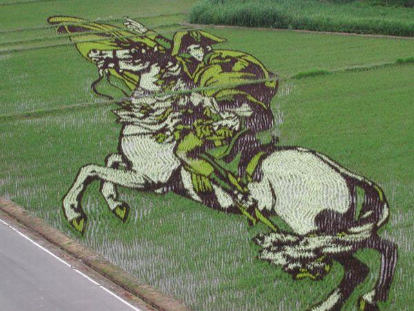 Bisarbeat: Japanese Rice Field Art
