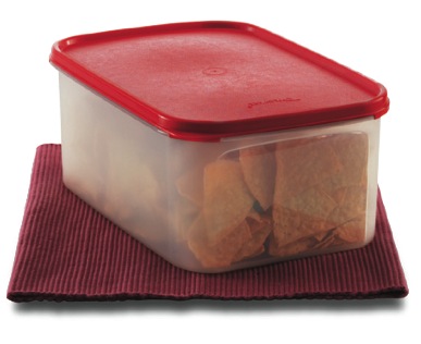 Citra Tupperware: Modular Mates Rectangular II