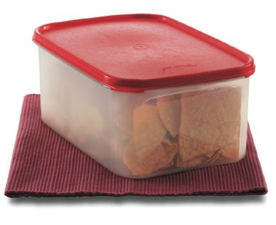 Citra Tupperware: Modular Mates Rectangular II