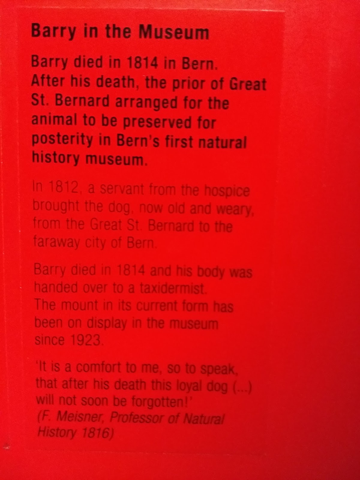 Skiing the Planet: Barry, the dog