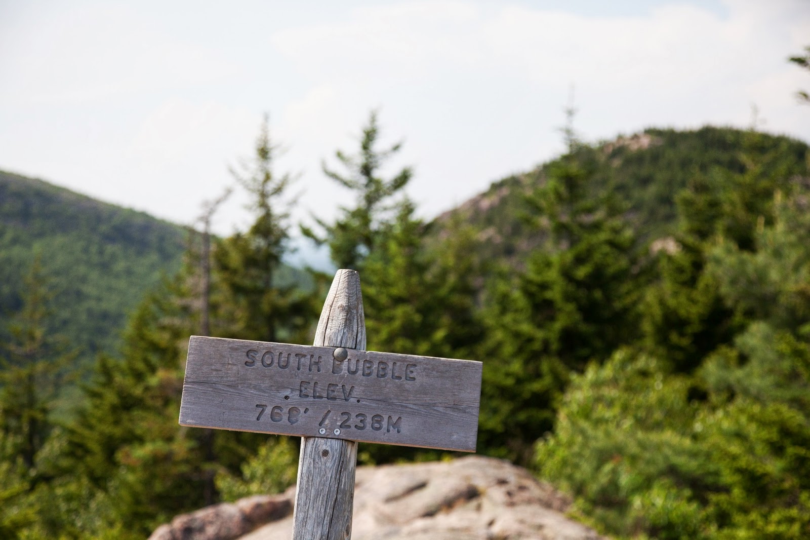 Acadia National Park | Bear Count