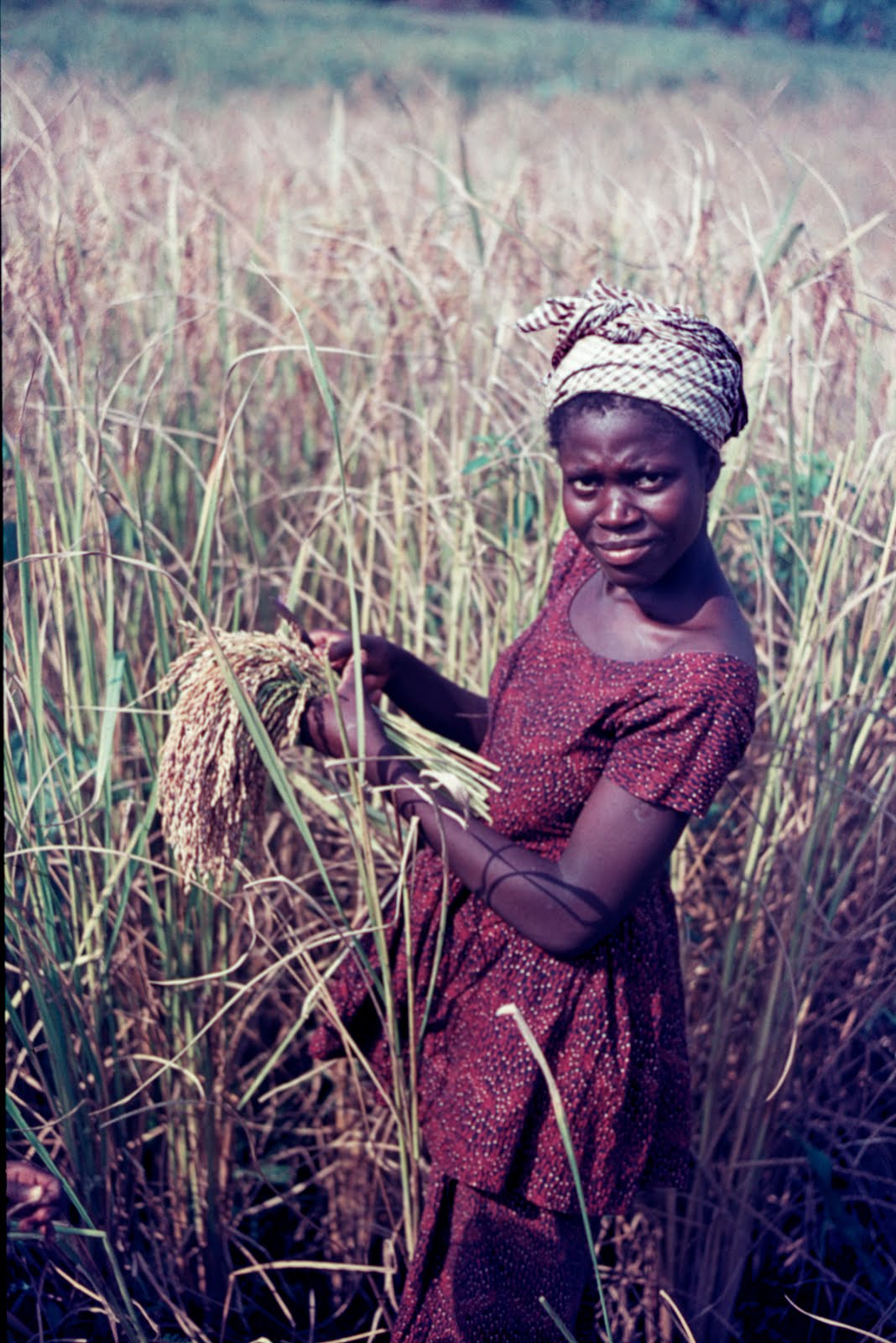 Sierra Leone I 1968 - 1970