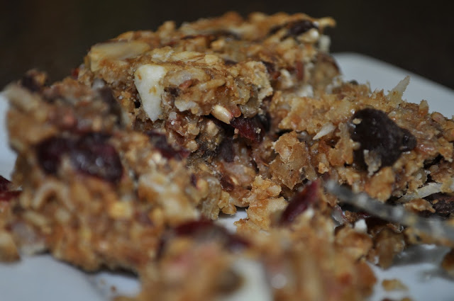 Teacher, Baker, Gourmet Meal Maker: Homemade Fiber Bars