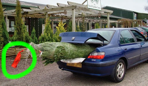 Haynes Manuals Blog: How to transport a Christmas tree safely