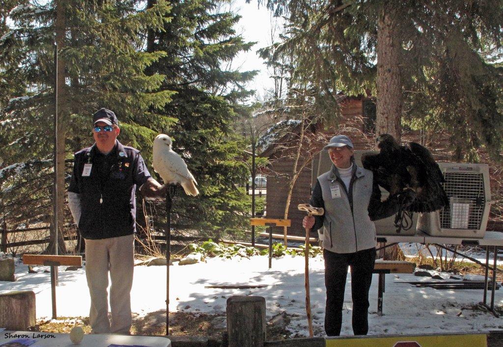 Bird Treatment and Learning Center: IMBD International Migratory Bird ...