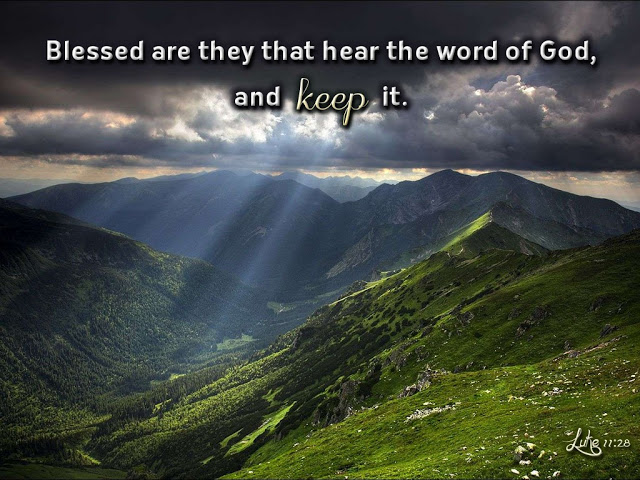 Scripture for Today: Matthew 16:24-28 ~ see the Son of Man coming in ...