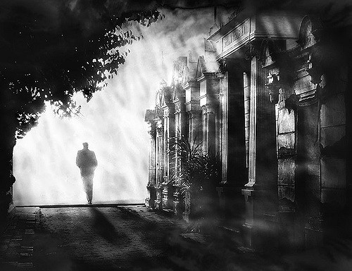 Contoh Foto Cinematic | How to know