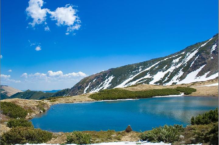International Year of Forests: Our expedition in Rodna Mountains ...