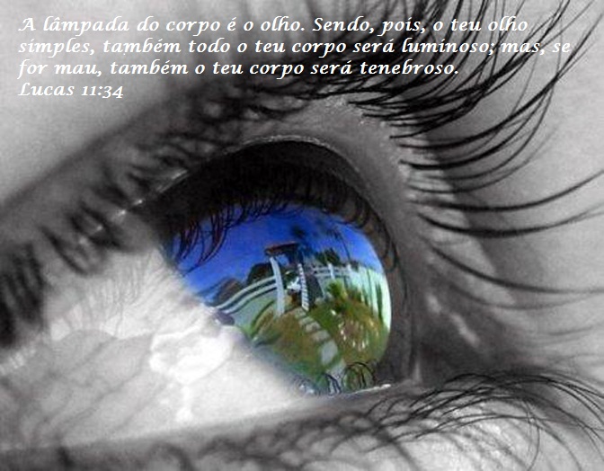 O Caminho que devo seguir: Olhar simples e único