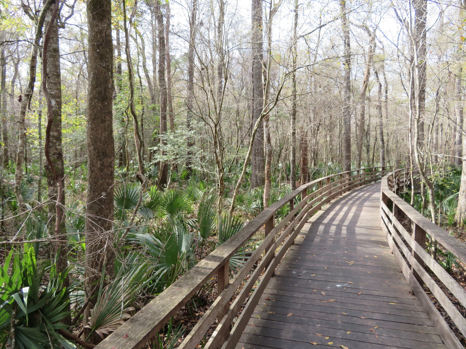 Vacation Rick: South Carolina Waters Expedition 2--Four Holes Swamp ...