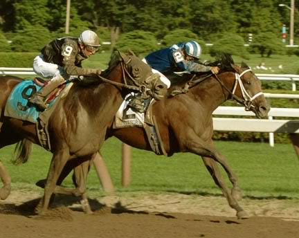 Top 31 Amazing And Dashing Horse Racing Wallpapers In HD