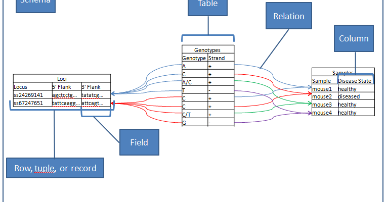 Net lo Java: Relation Database Terminology