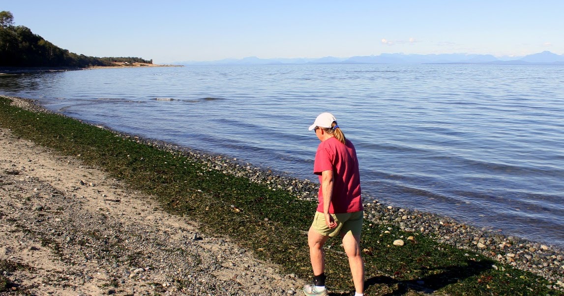Keith Nicol Adventures: Coastal Walking trails in the Comox Valley ...