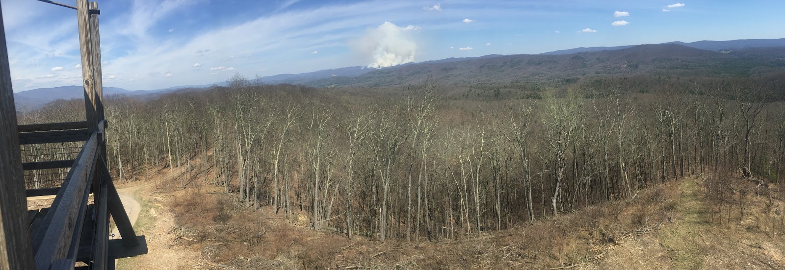 Wandering Virginia: Seneca State Forest, West Virginia