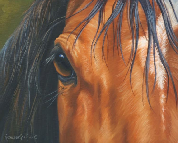 Imagenes de caballos - Fotografias equinas