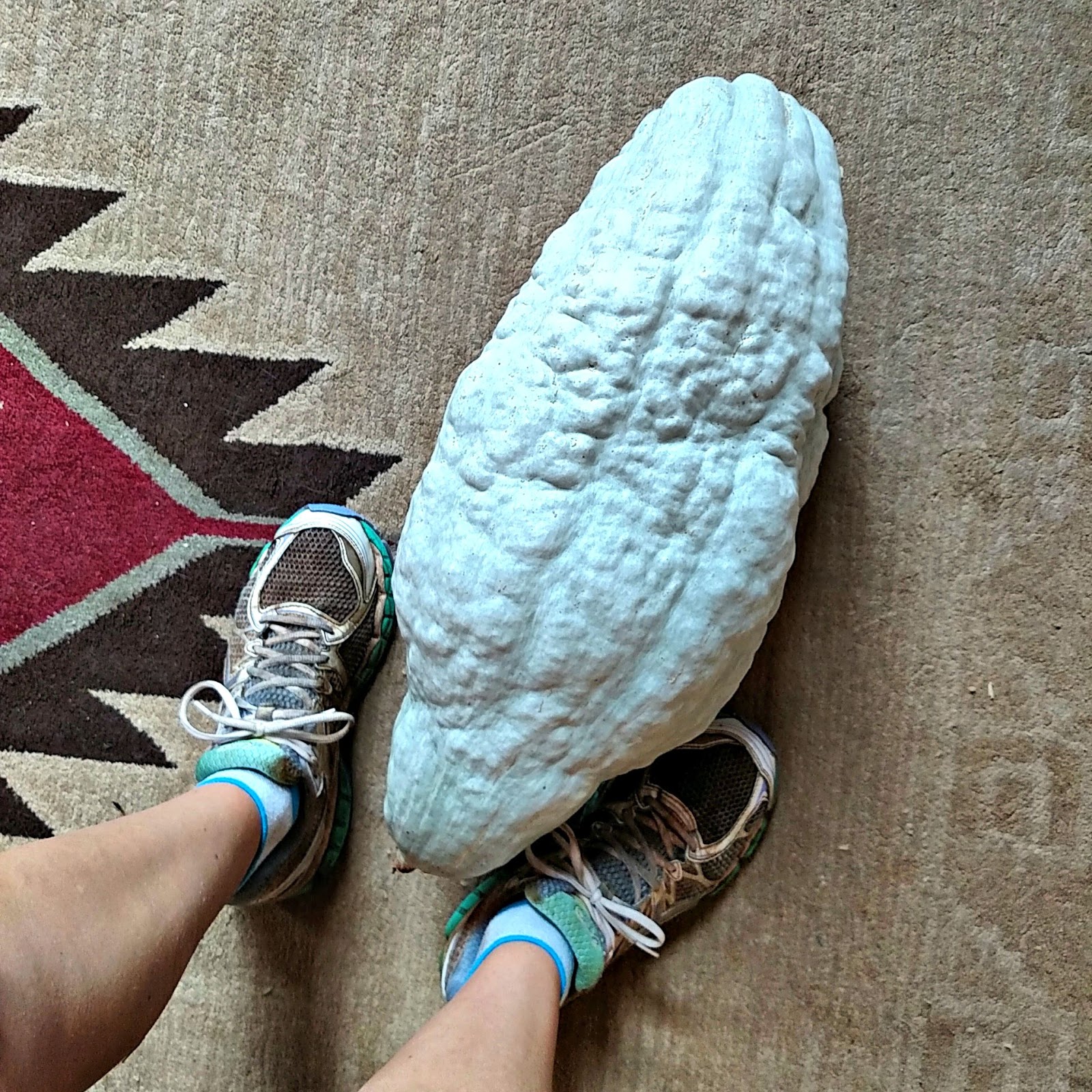 Two Bears Farm and the Three Cubs: Growing Blue Hubbard Squash