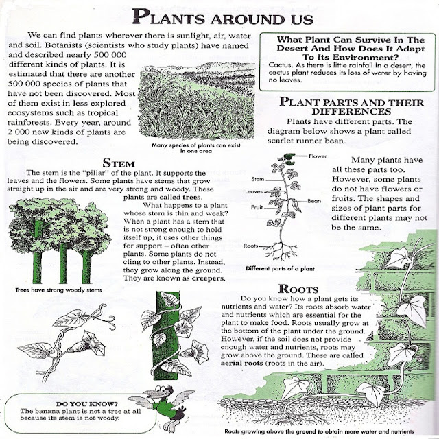 Plants: NOTE