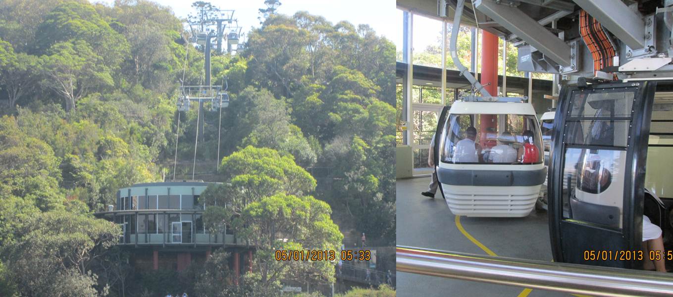 Jaywalking with Jaunty: Travel: Day 3 - Australia - Taronga Zoo ...