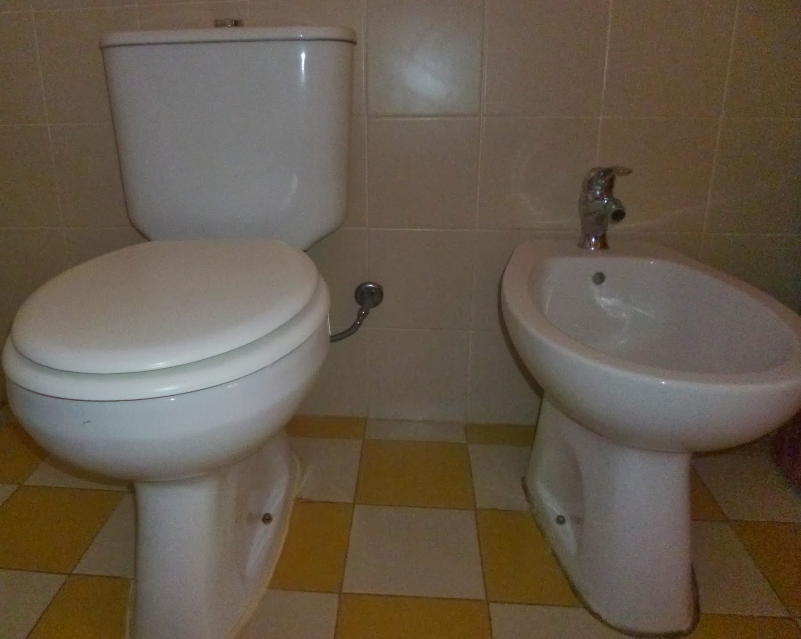 Língua Portuguesa: perguntas e respostas!: .os WC, os WC’s ou os WCs?