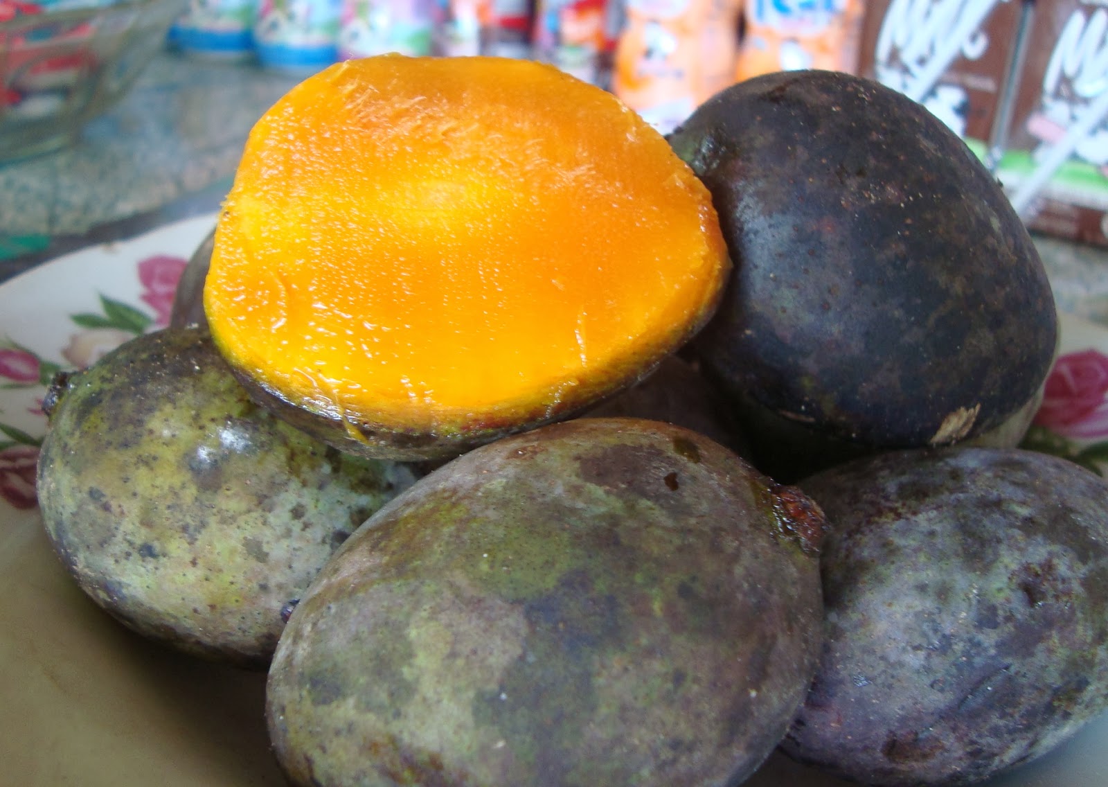 Kasturi, Flora Maskot Kalsel yang Terancam Punah | Biodiversitas Indonesia