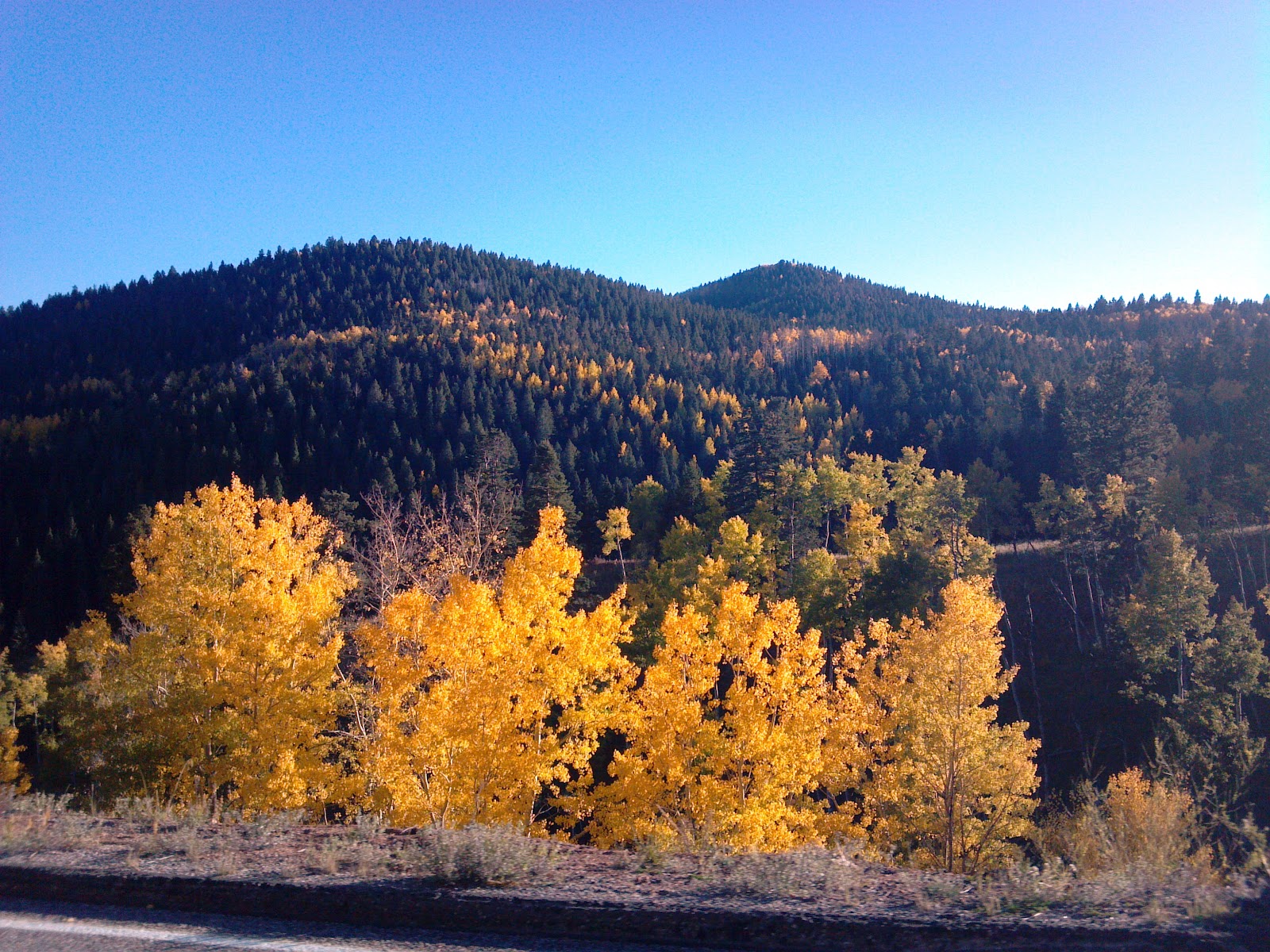 San Isabel Fall 2012 Photo Tour (Aspen, Colorado City: homes, live ...