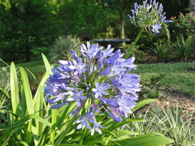 Simply Susan: So Long April...