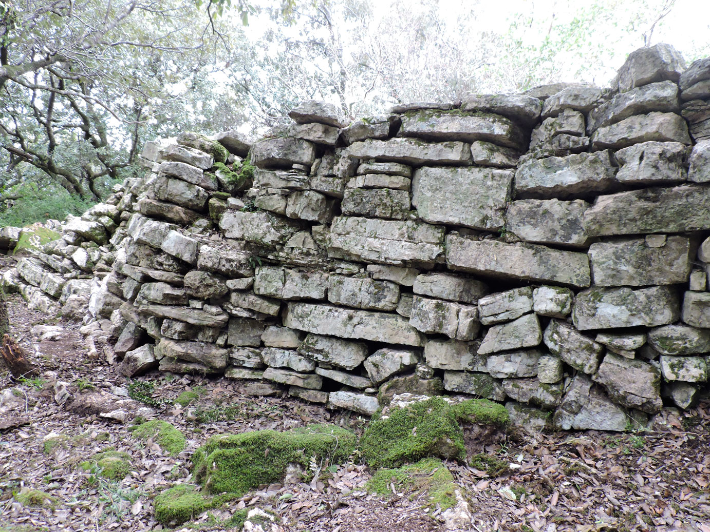 Groupe Archéologique Lodévois: L'Oppidum du Grézac à Lodève